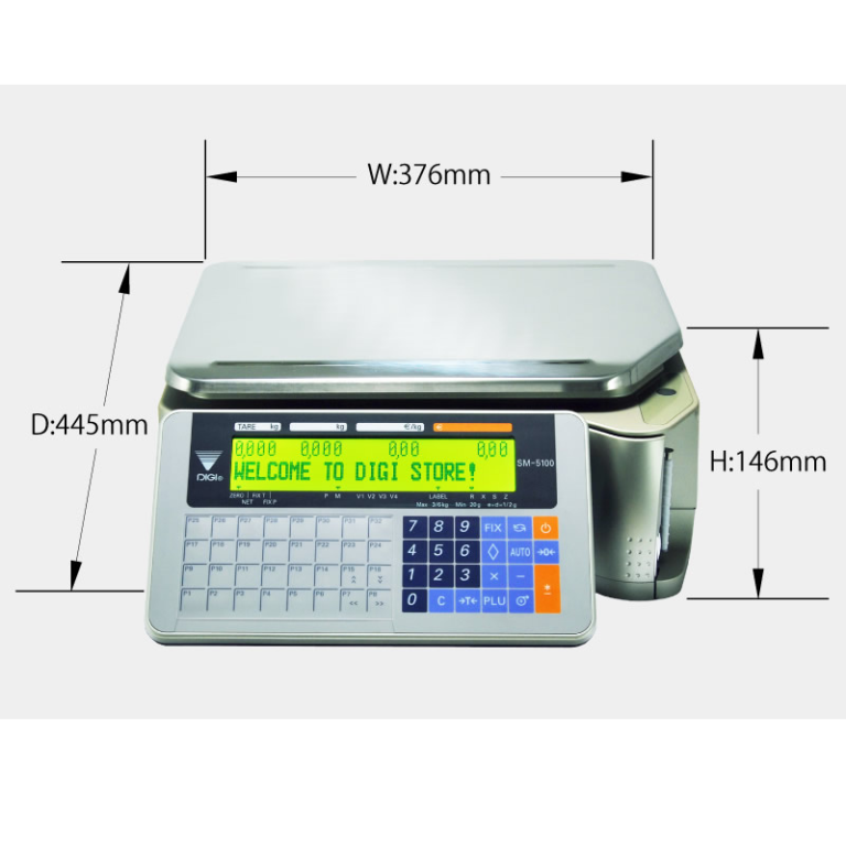 DIGI DS-673SS - thaiscale